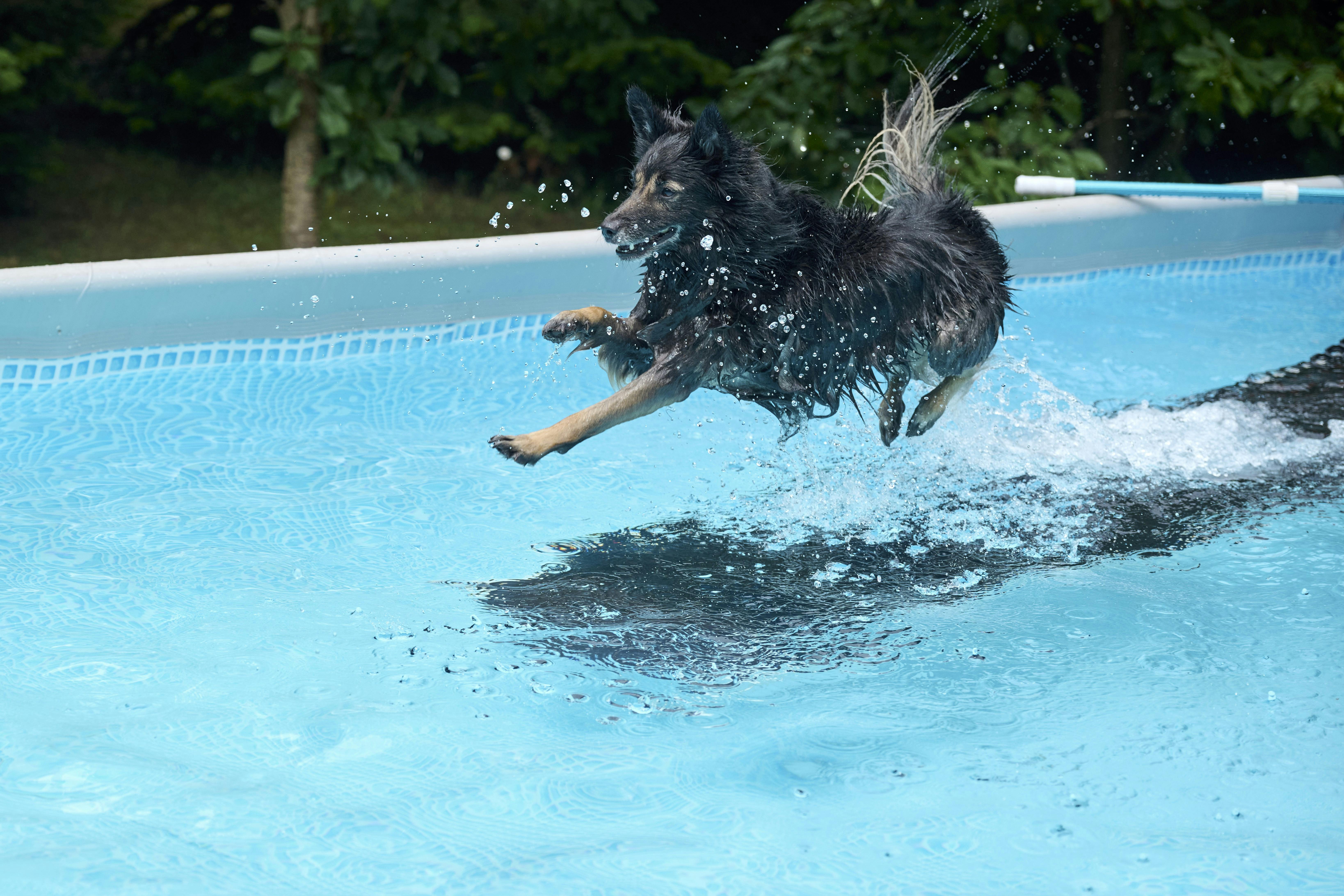 Jubii poolen er åben | Ude og Hjemme