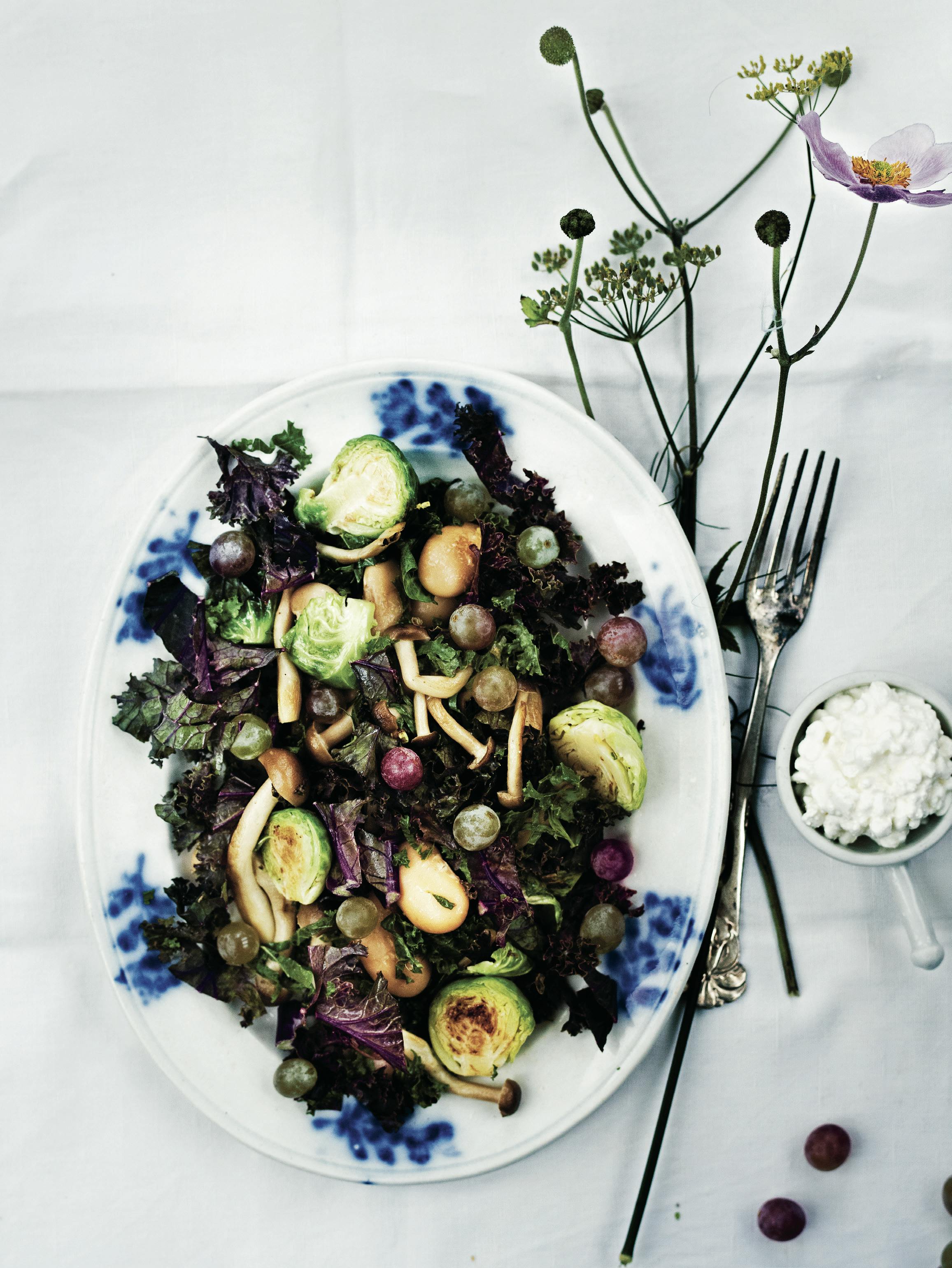 Grønkålssalat med svampe | Ude og Hjemme