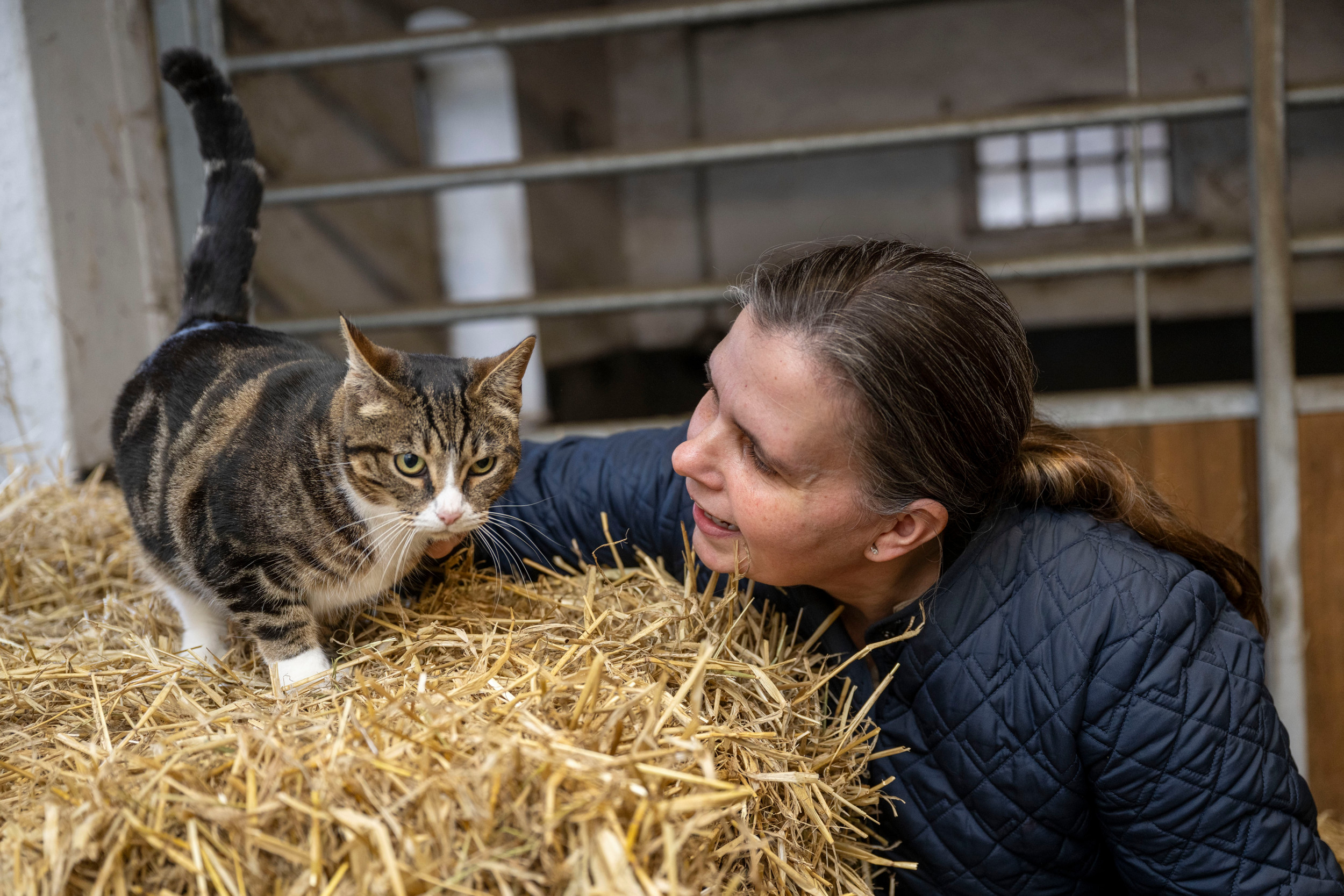 Kalinka blev efterladt – nu er hun verdens bedste huskat | Ude og Hjemme